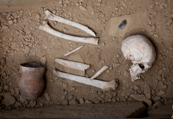 Brymbo Man Revealed - Wrexham Heritage